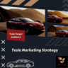 Tesla Marketing Strategy 2022